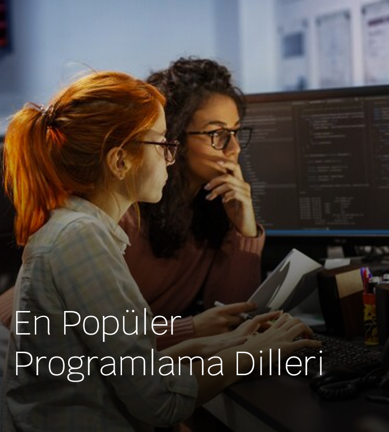 En Popüler Programlama Dilleri